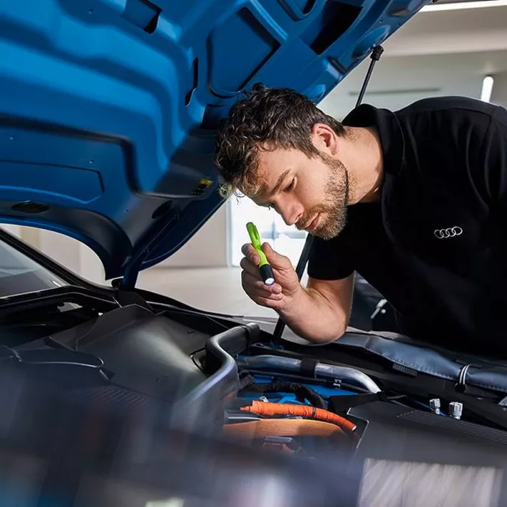 Audi Service Plans > Audi Service & Warranty > Audi Ireland