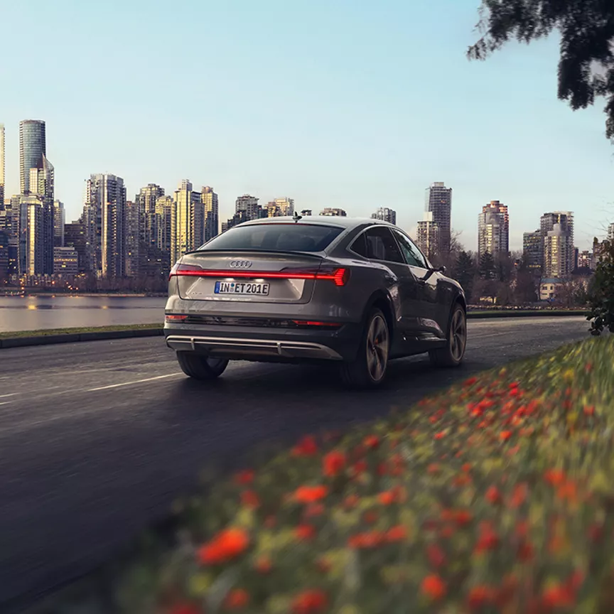 Audi Service & Warranty > Owners and Customers > Audi Ireland