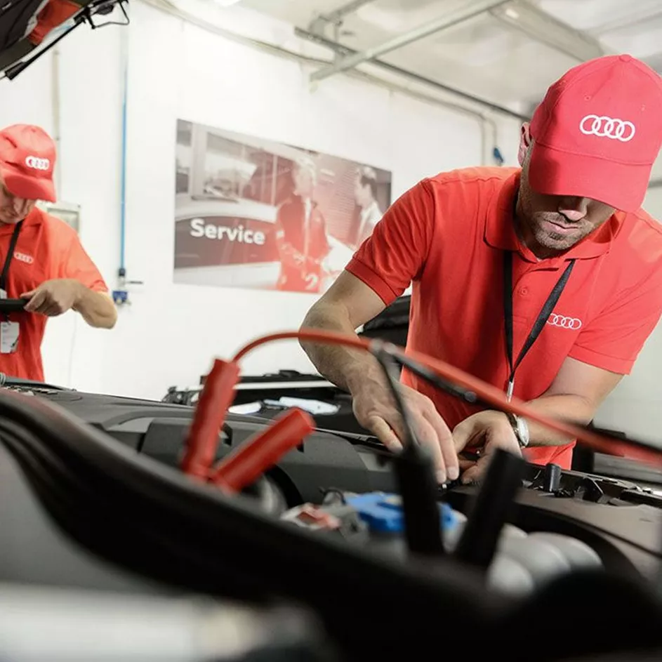 Audi Collections, Catalogues, & Benefits