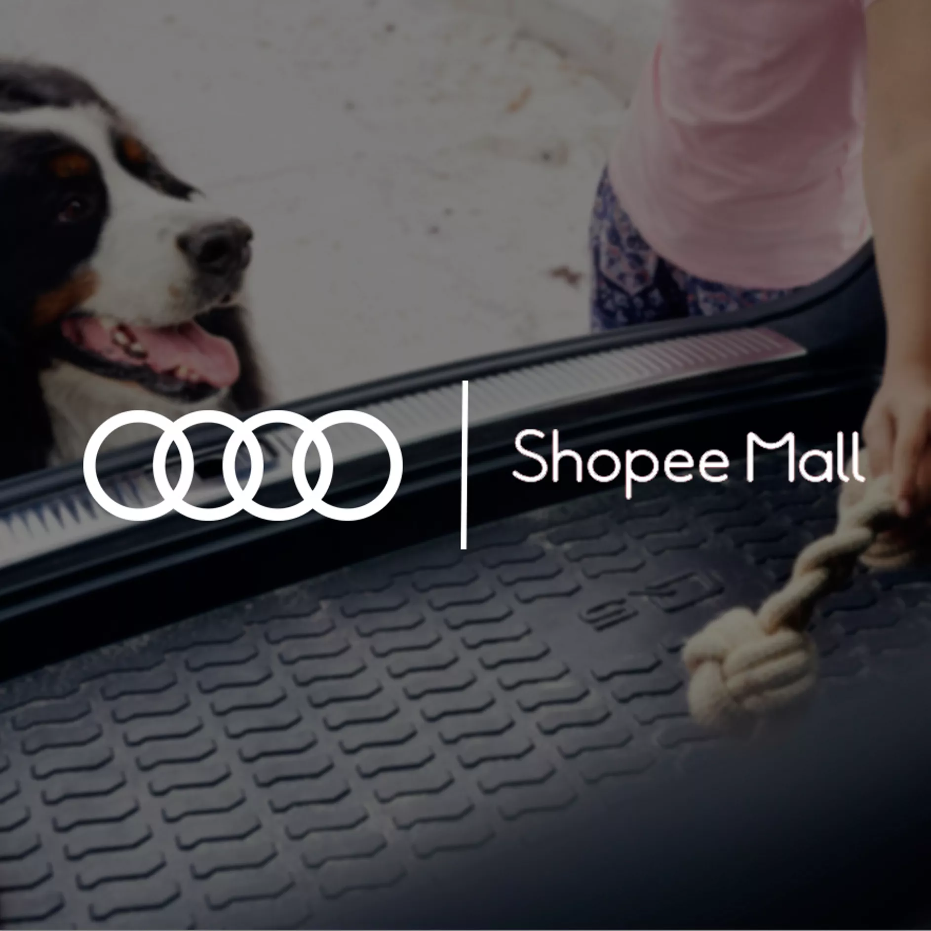 Browse the Audi Flagship Store | Audi Singapore