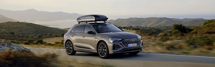 Service Initiated Roadside Assistance | Audi Australia