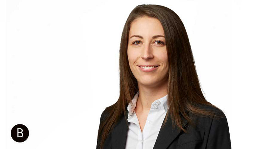 Audi diplomatic programme