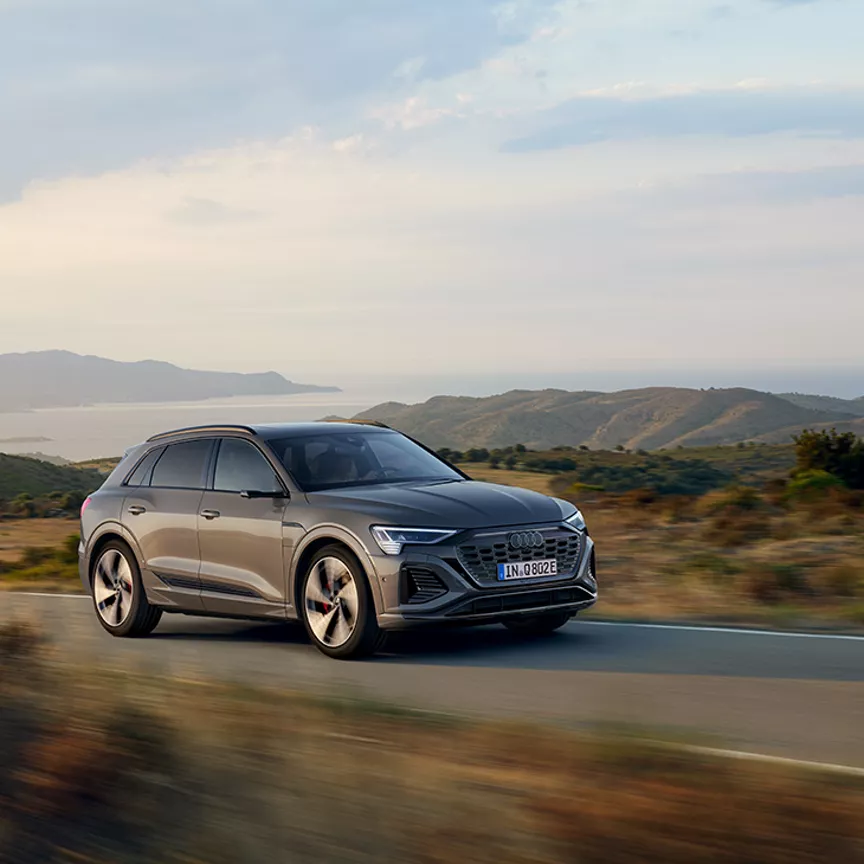 Audi Q8 e-tron/Audi e-tron > Smartphone interface > Functions on Demand ...