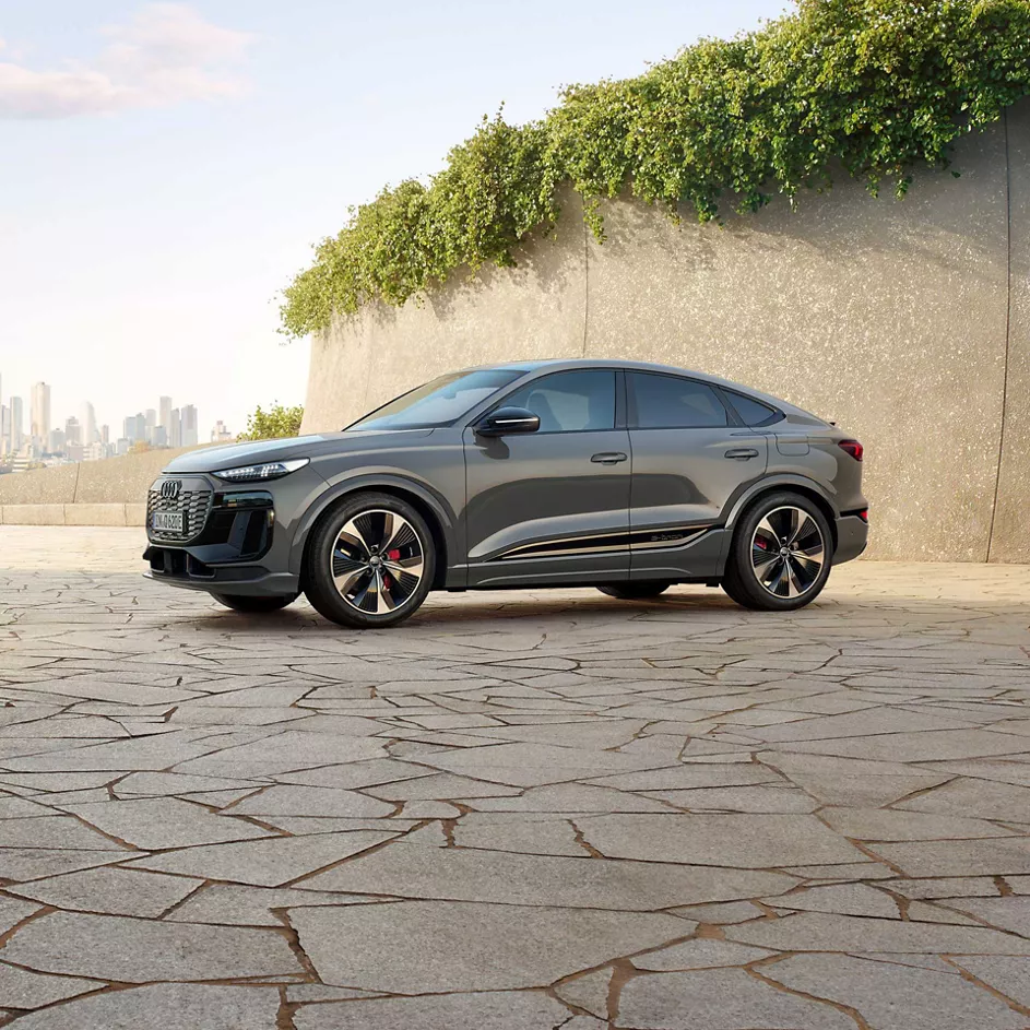 Audi Electric Range > Owners and Customers > Audi Ireland