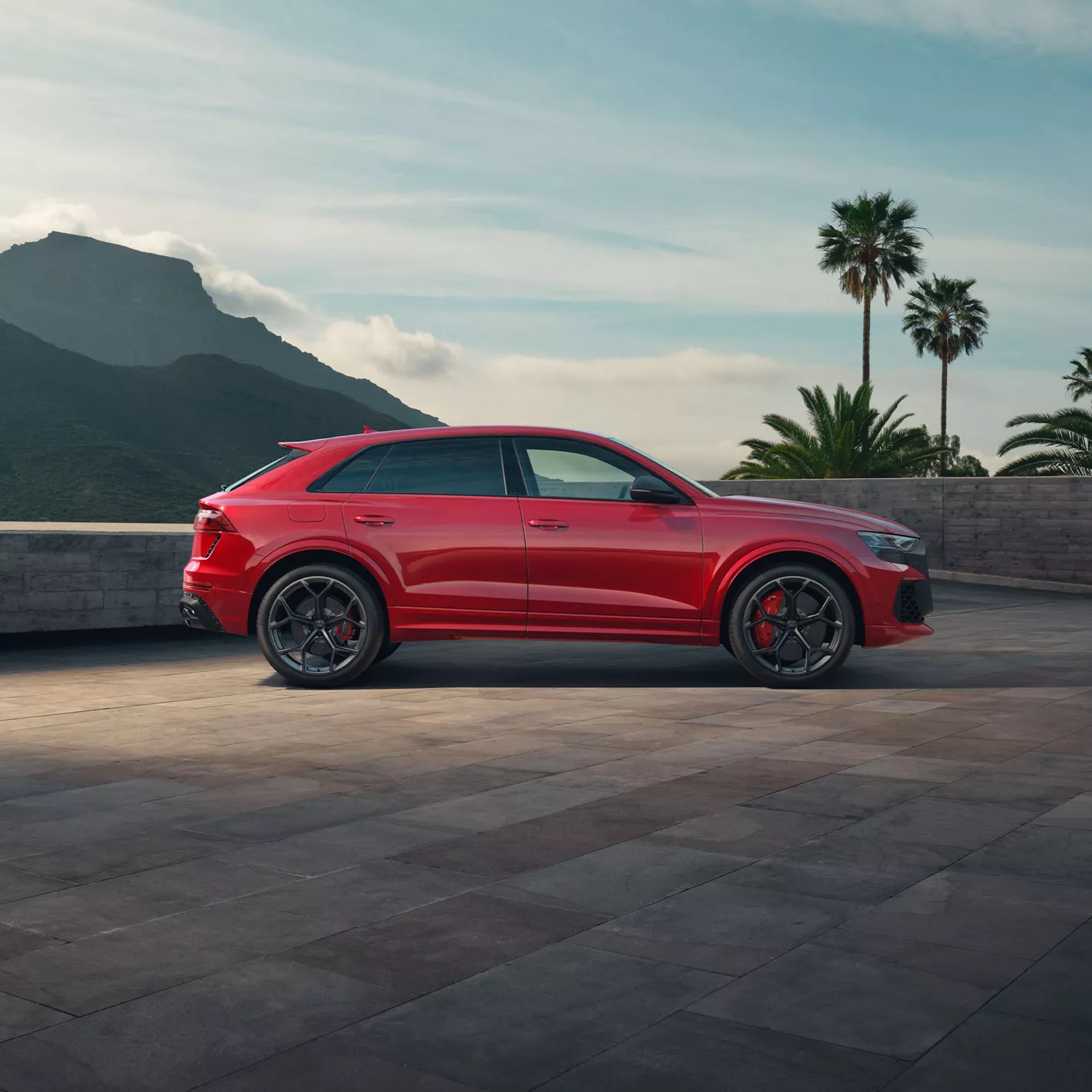 RS Q8 performance 2026