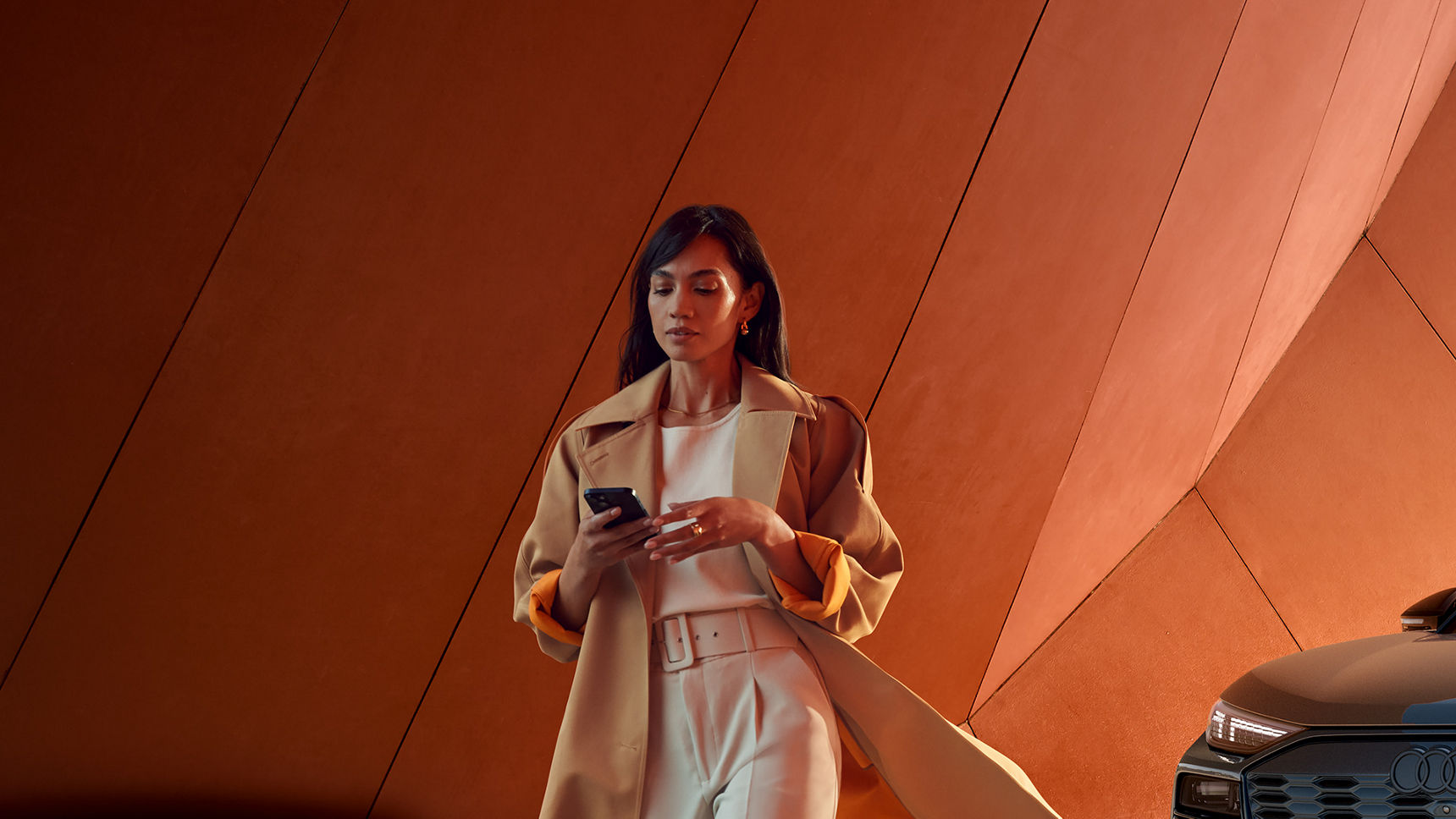 Audi connect Remote & Control